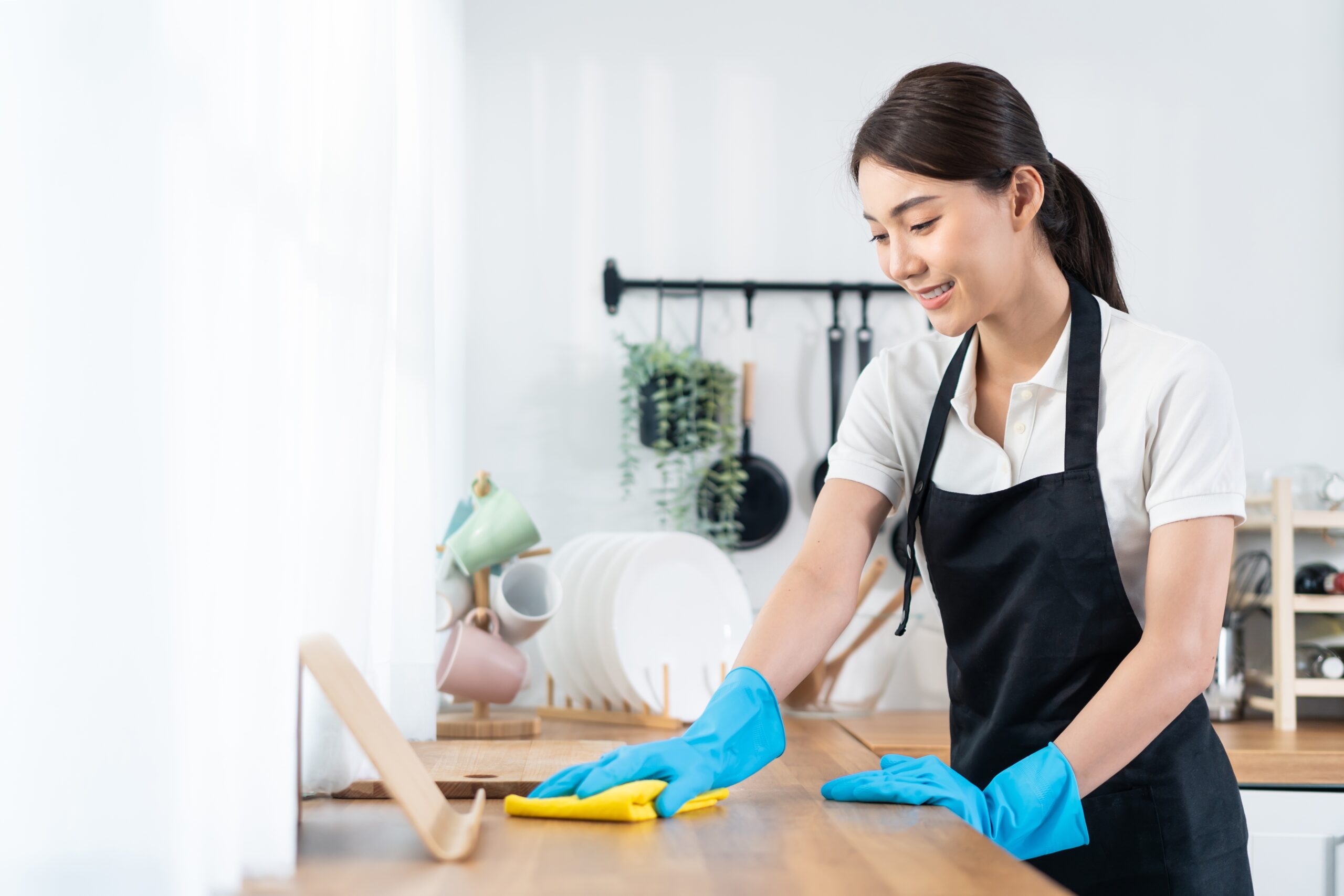 Domestic Cleaning - Professional Building Cleaning Service and Refuse ...
